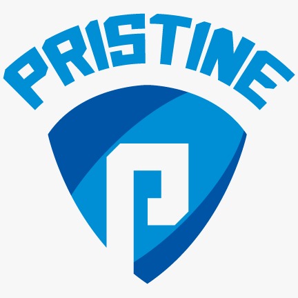 Pristine Security Service Limited – BPSSPA